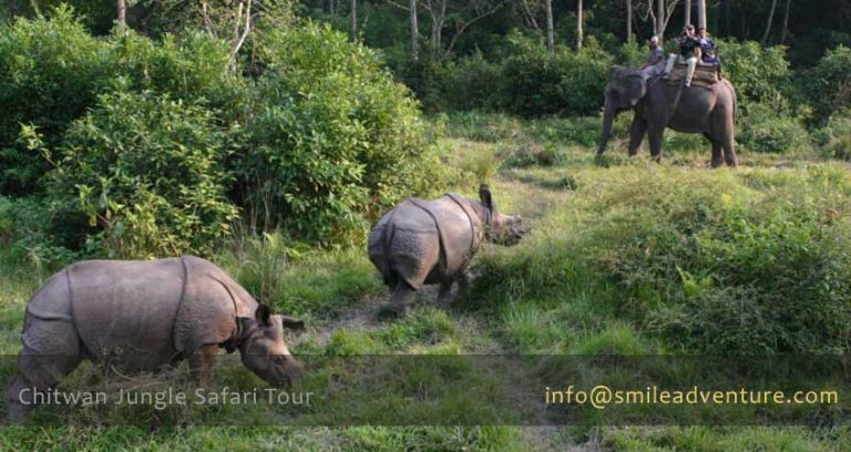 Chitwan Jungle Safari Package Tour